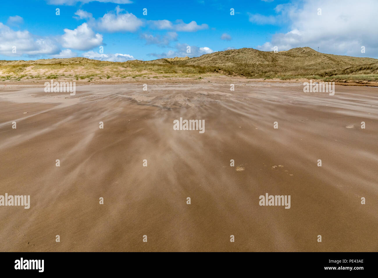 Sand being blown about on Forvie Sands Stock Photo - Alamy