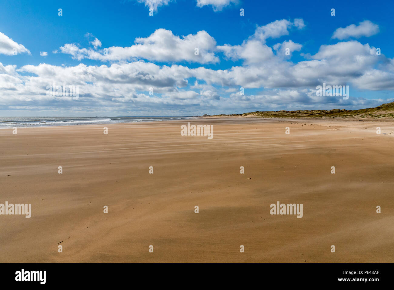 Forvie beach hi-res stock photography and images - Alamy