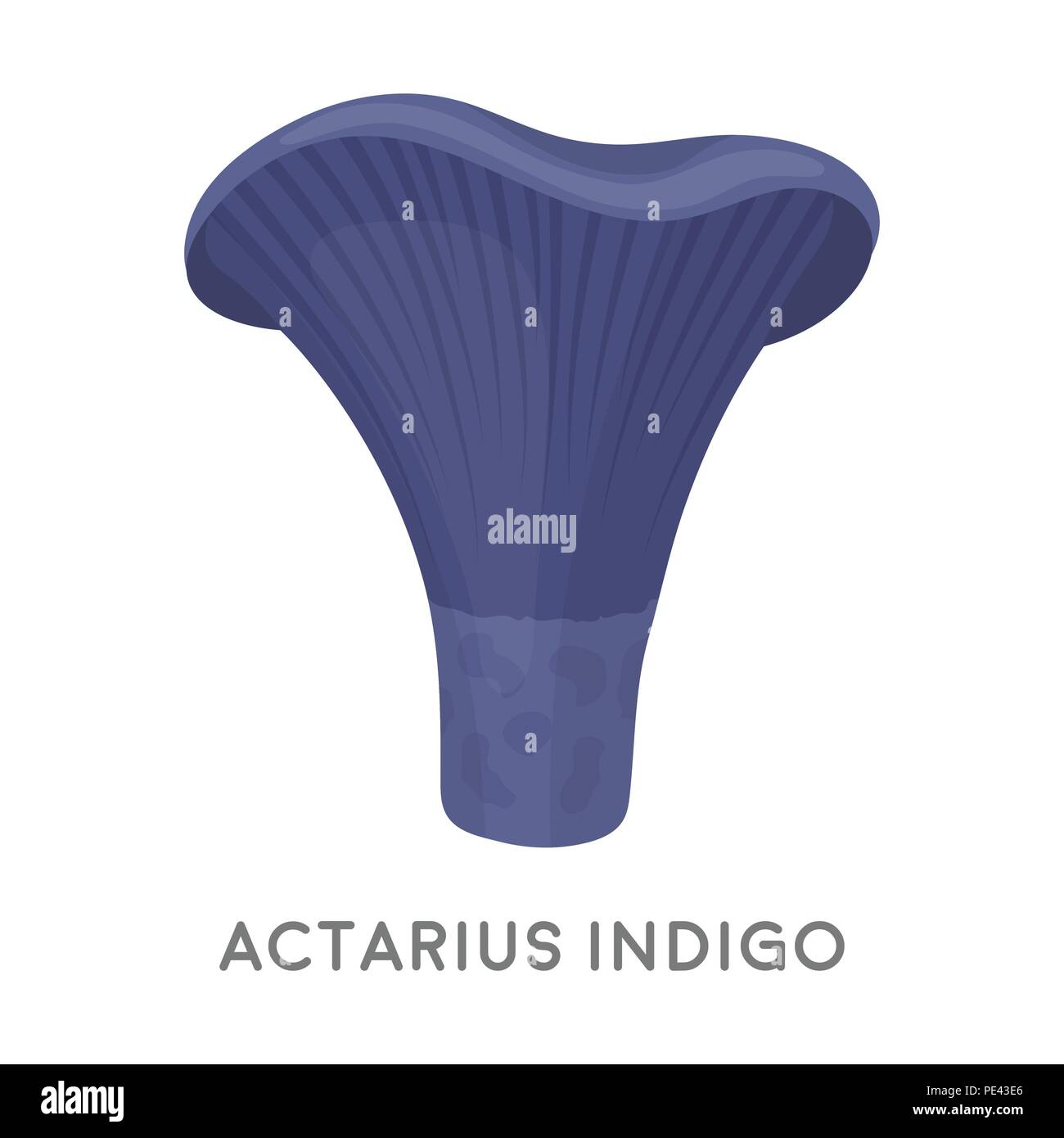 Actarius indigo icon in cartoon style isolated on white background ...