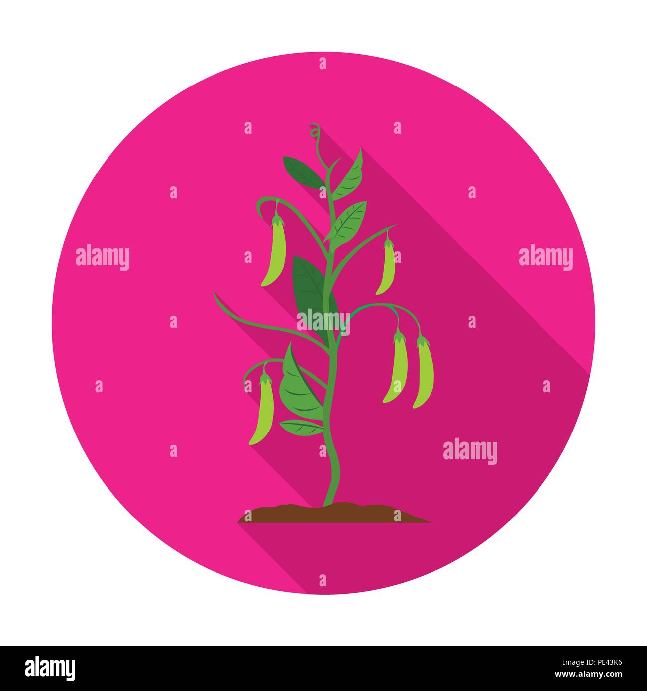 Peas icon in flat style isolated on white background. Plant symbol ...