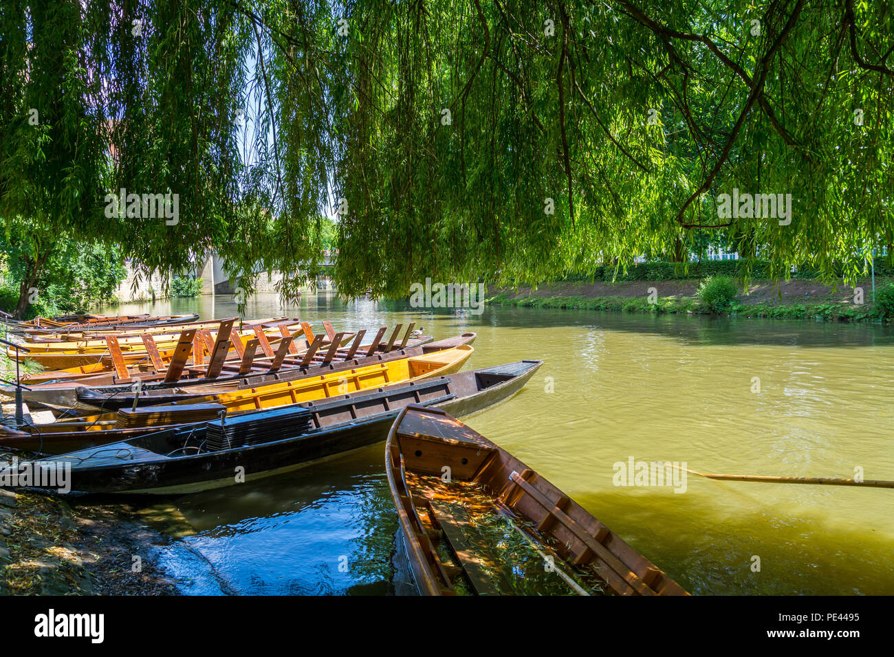 Germany, Many wooden punt boats on neckar river in Tuebingen Stock ...