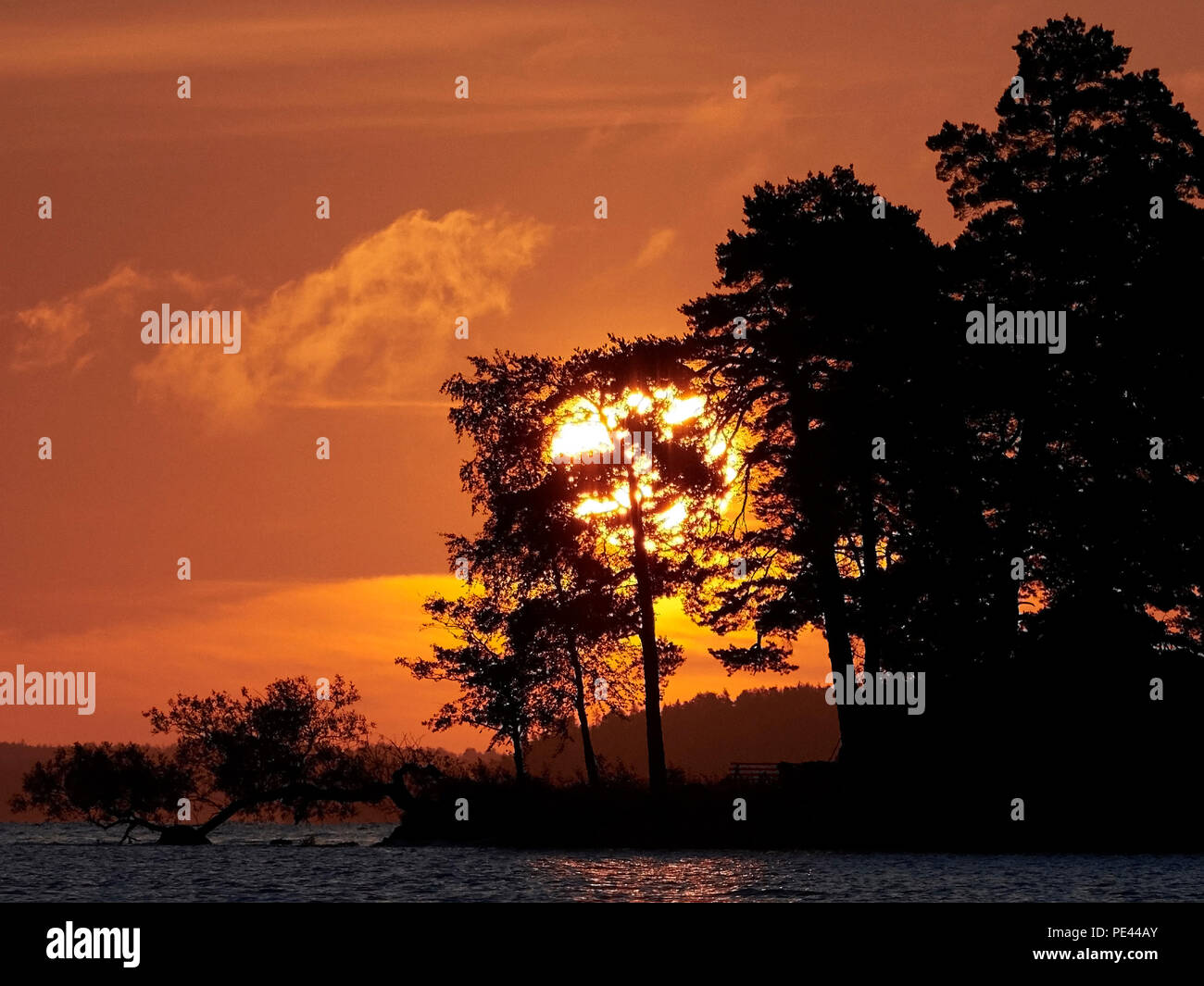 Sunrice hi-res stock photography and images - Alamy