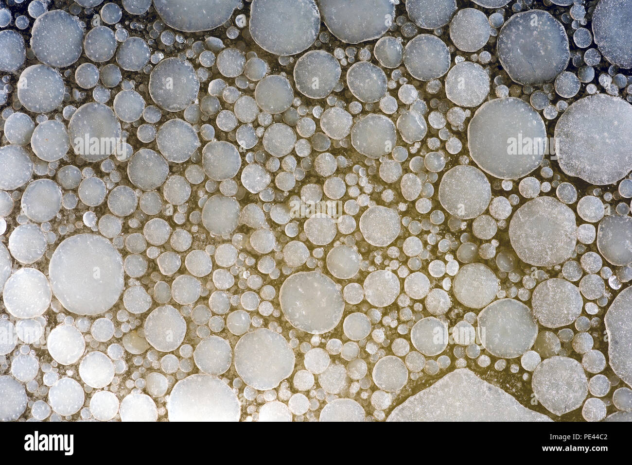 Overhead abstract image of used cooking fat congealed on the surface of ...