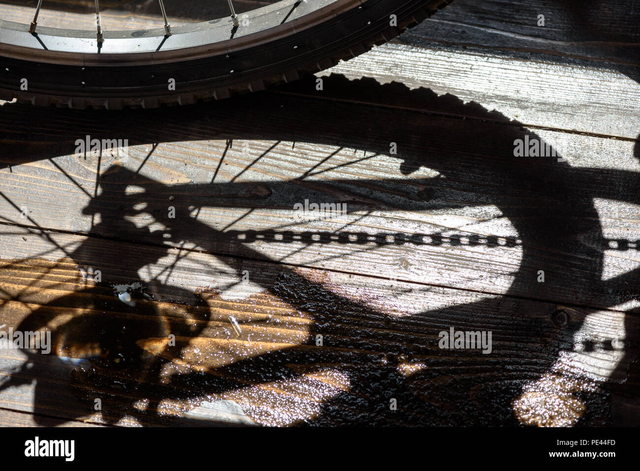 Rear wheel of a cycle with the chain and gear cogs in reflected shadow ...