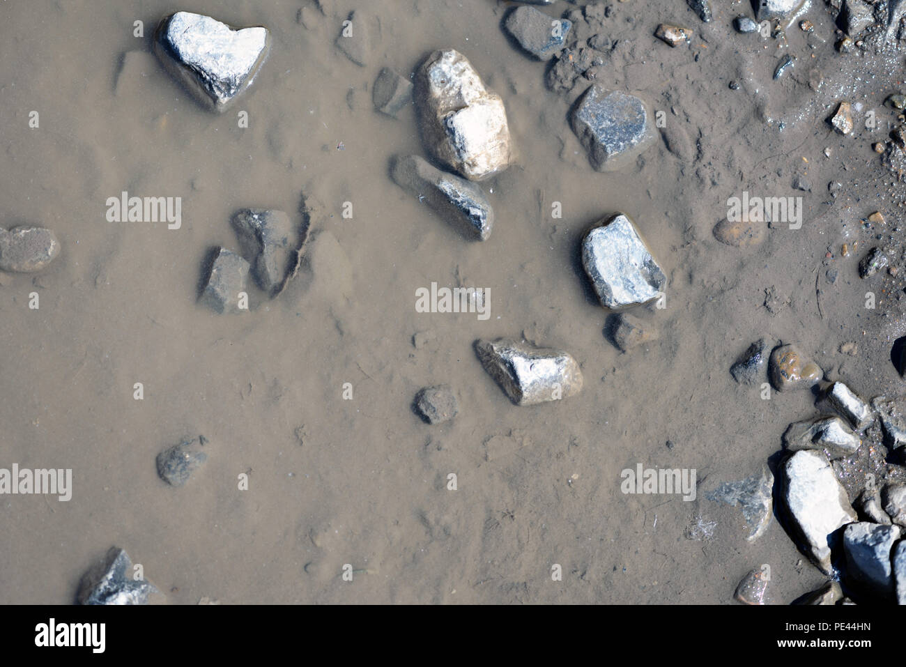 Closeup image of gravel stones in a dirty puddle in natural sunlight ...