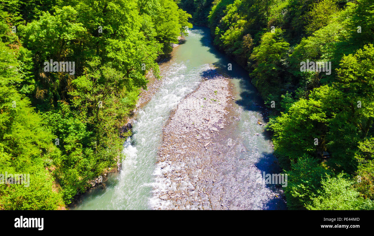 Drone view of the Sochi river gorge with dense forest in sunny summer ...