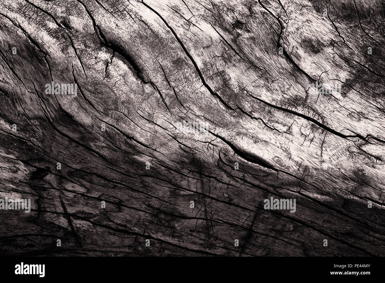 Closeup macro image of aged vintage and well worn wood in color with ...