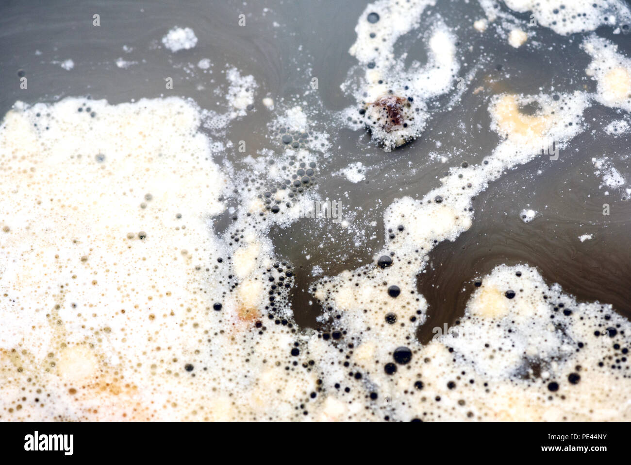 Blobs of greasy congealed saturated fat on the surface of dirty dish ...