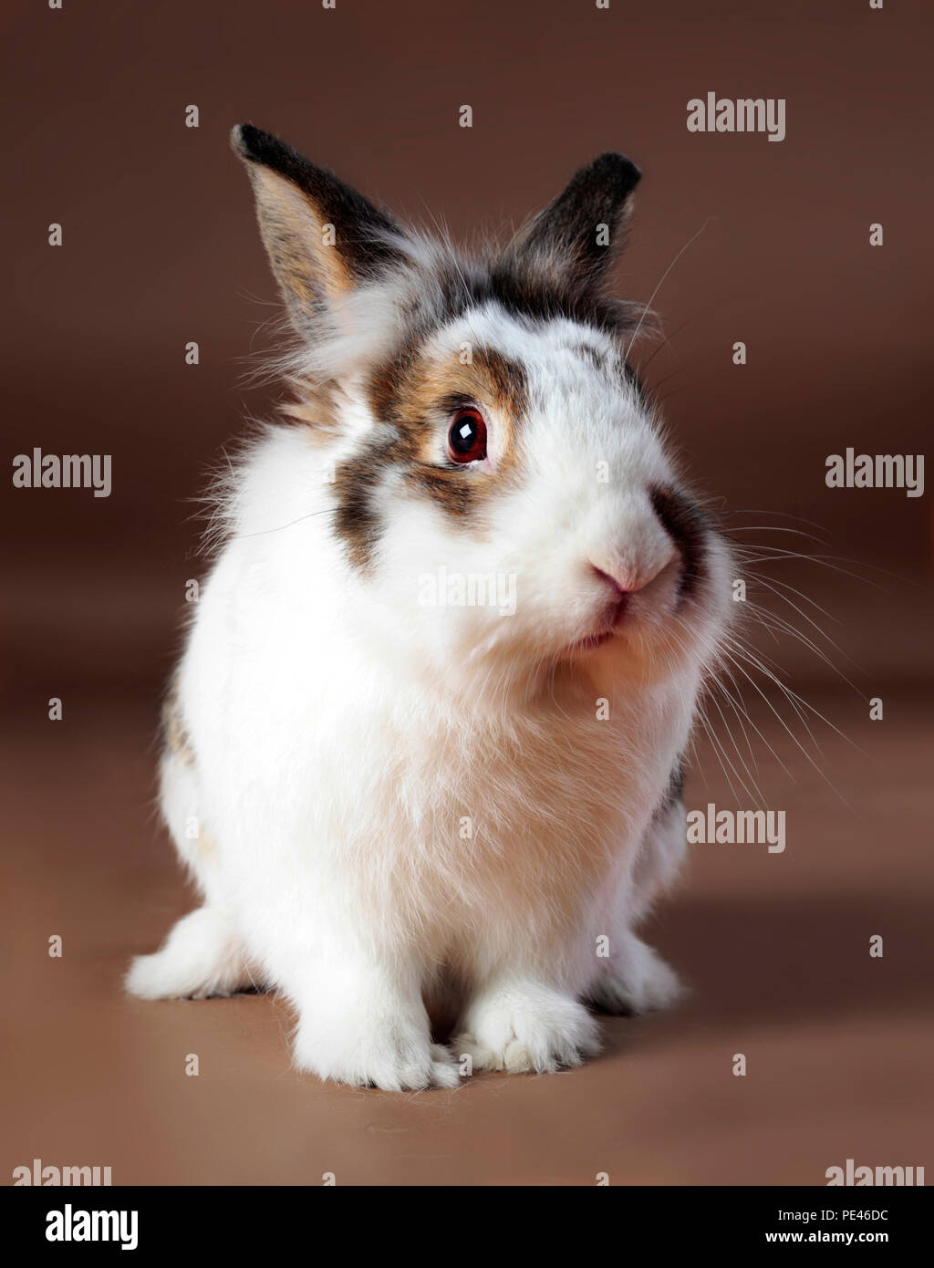 Perfect illumination hi-res stock photography and images - Alamy