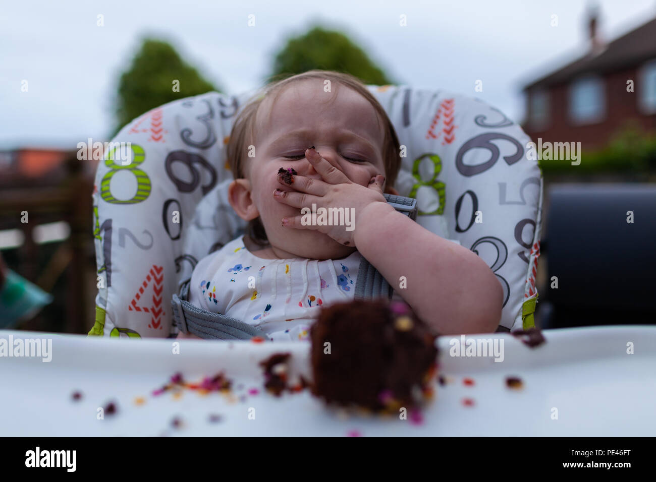 Baby Eating Cake