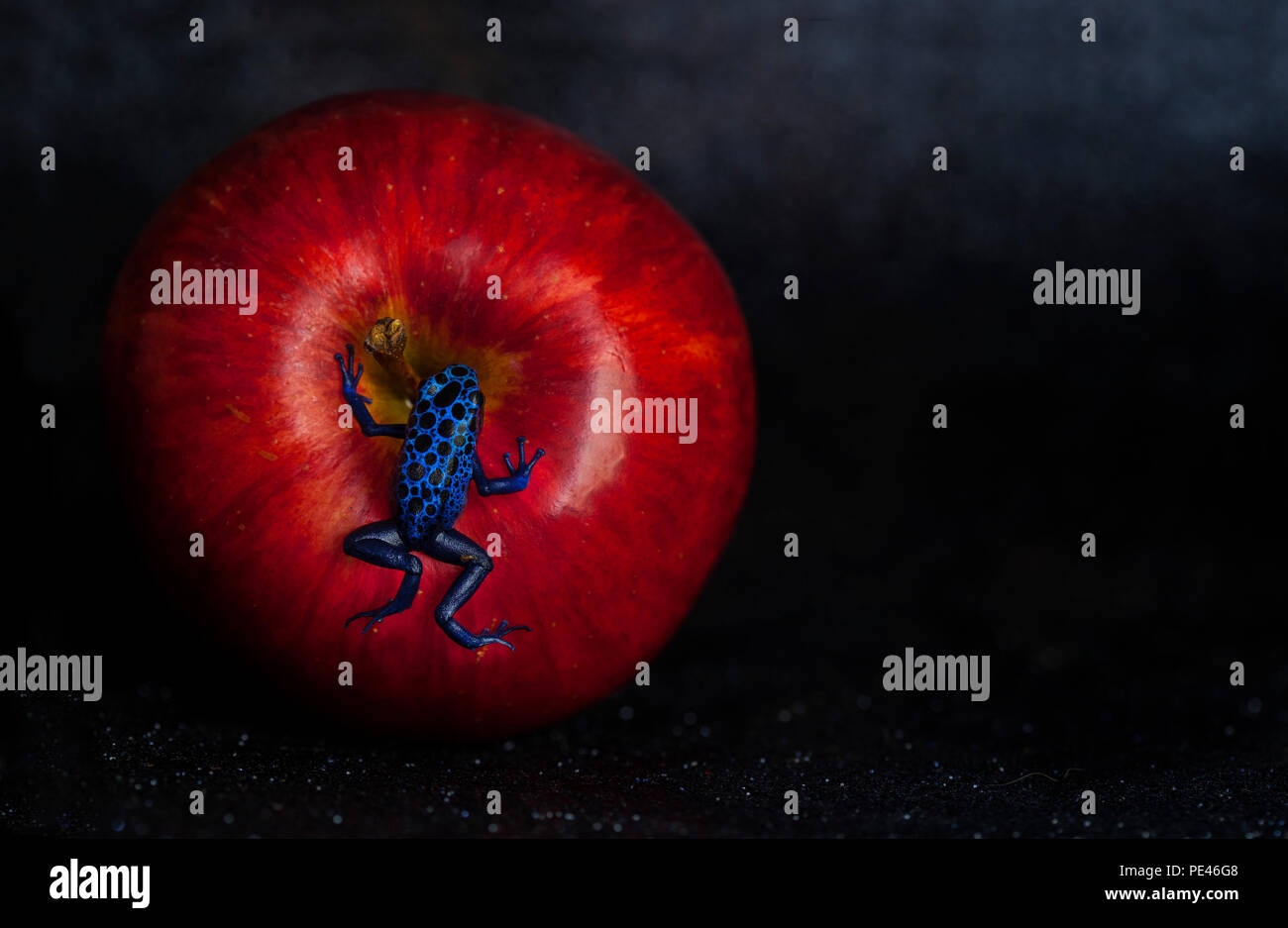 Blue drag hi-res stock photography and images - Alamy