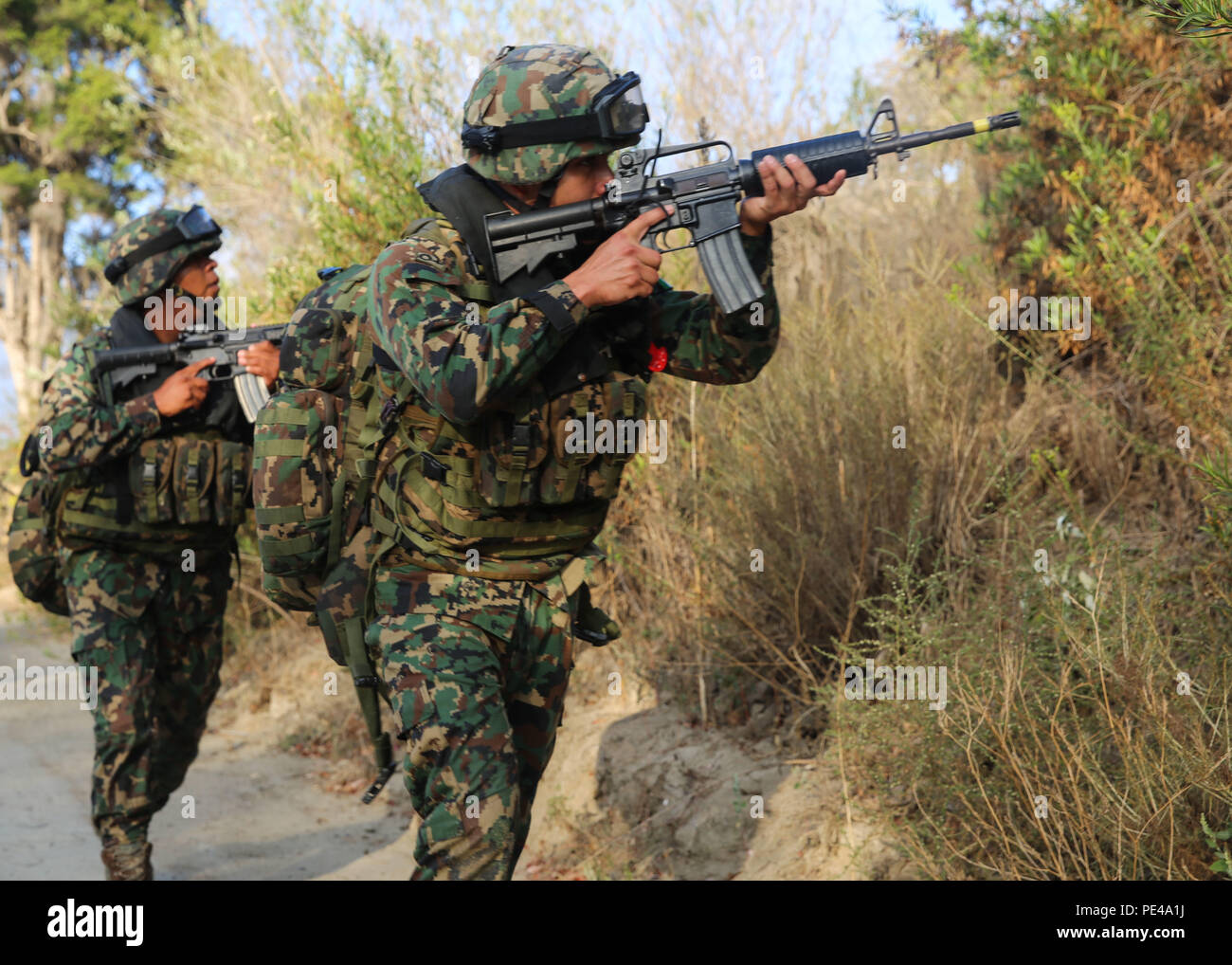 Mexican naval infantry hi-res stock photography and images - Alamy