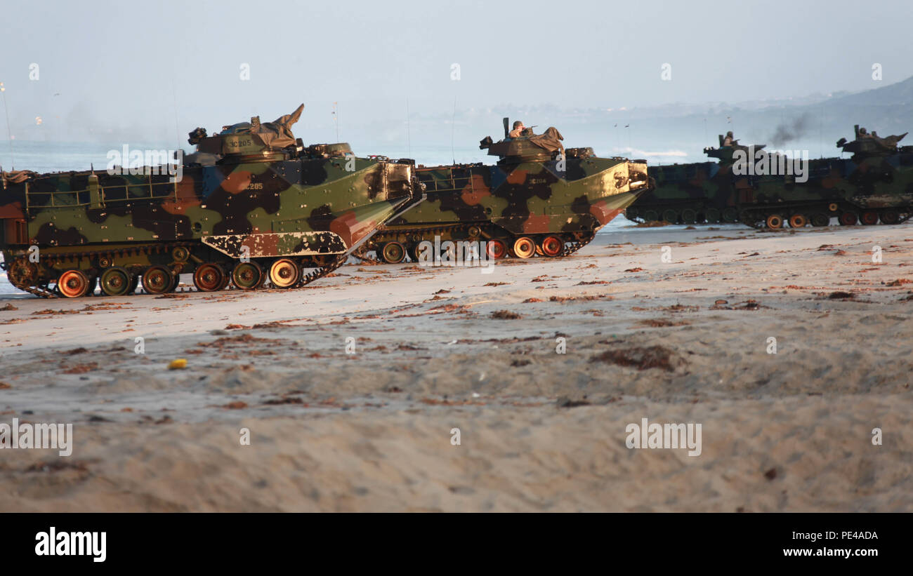 U.S. Marine Corps amphibious assault vehicles assigned to 3rd Assault ...