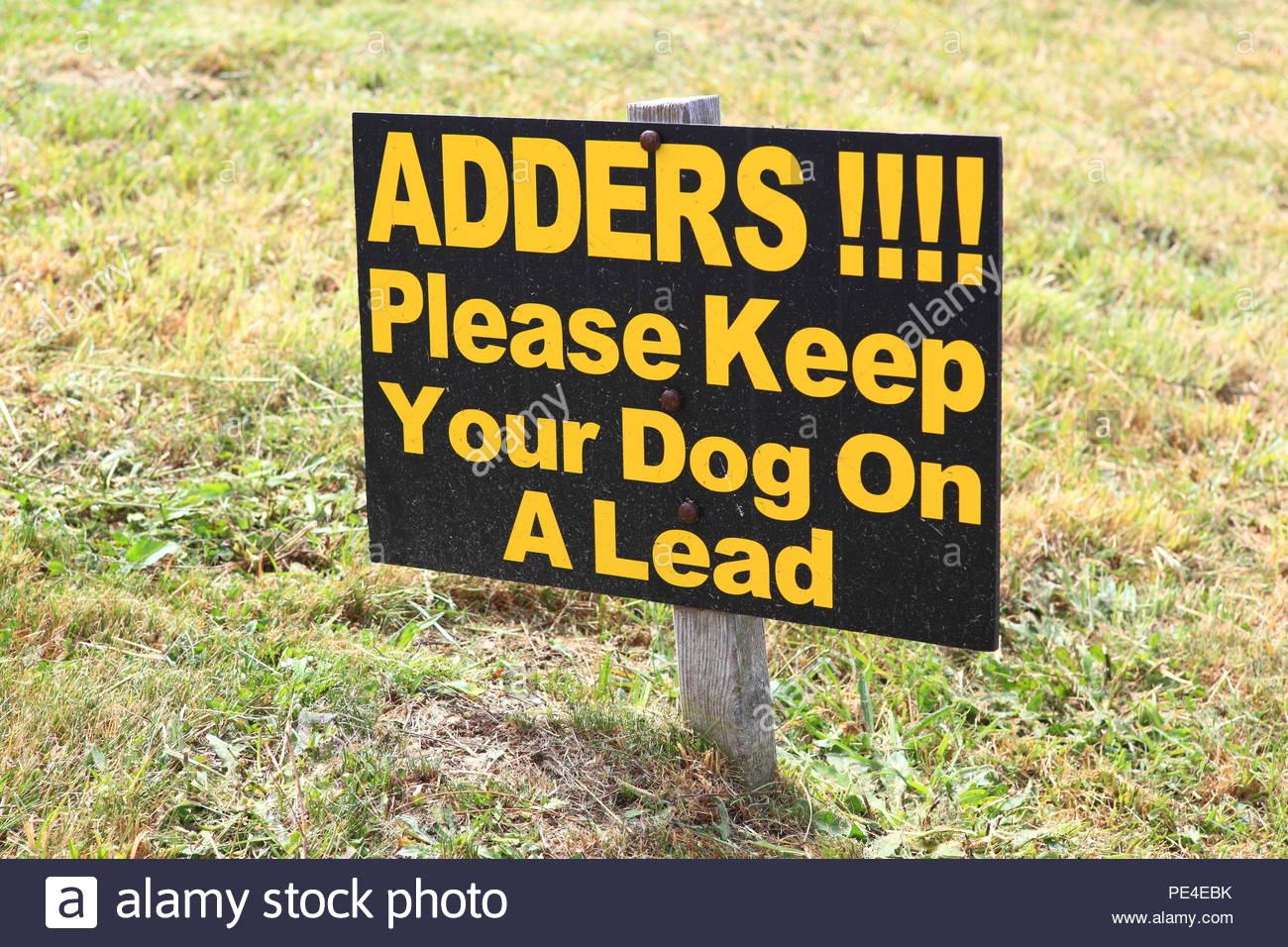 Dogs Kept On Lead Sign High Resolution Stock Photography and Images - Alamy