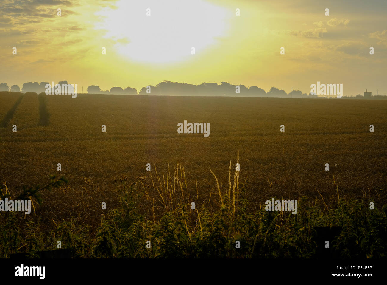 Star sky sunrise england hi-res stock photography and images - Alamy