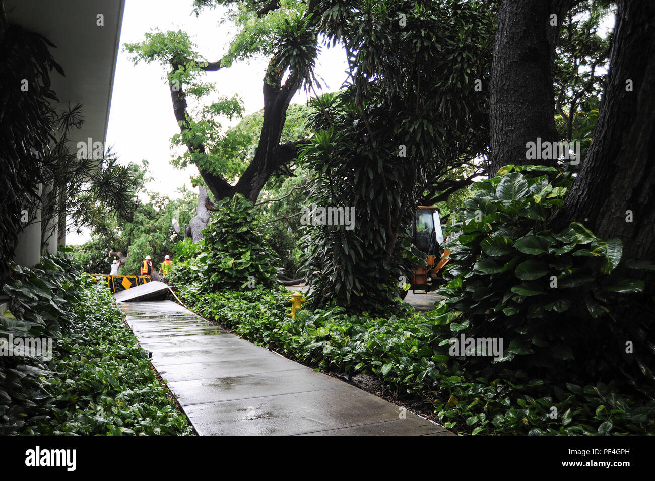 PEARL HARBOR, Hawaii (Sept. 15, 2015) Members from both Naval ...