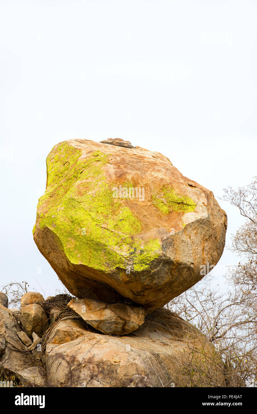 Yellow boulder lichen hi-res stock photography and images - Alamy