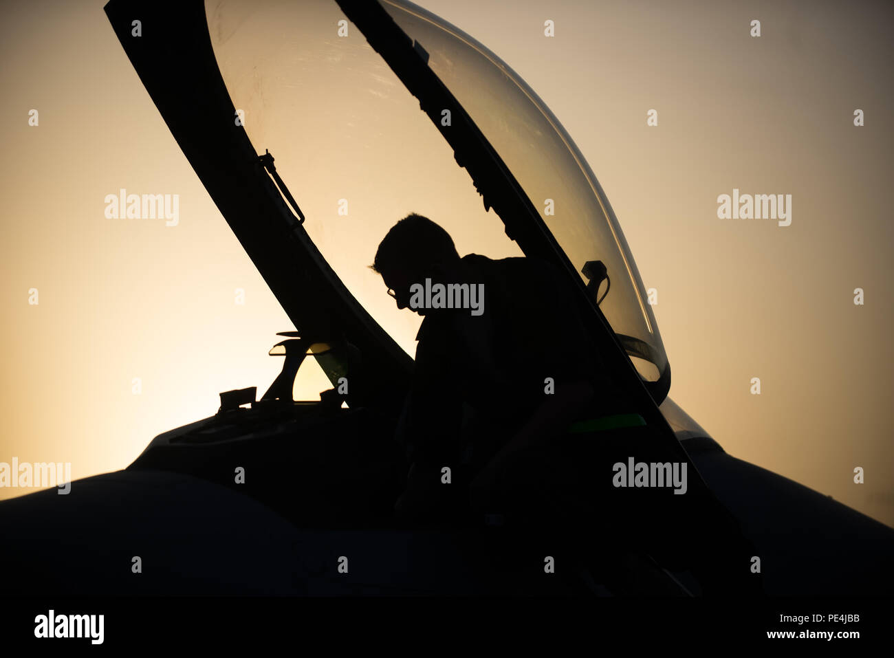 U.S. Air Force Airman 1st Class Dexter Fitzpatrick, 455th Expeditionary ...