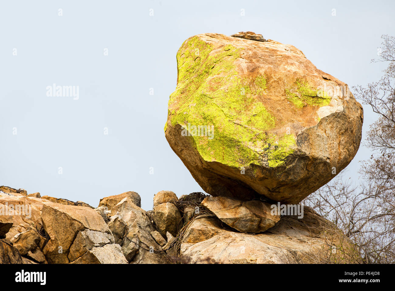 Yellow boulder lichen hi-res stock photography and images - Alamy