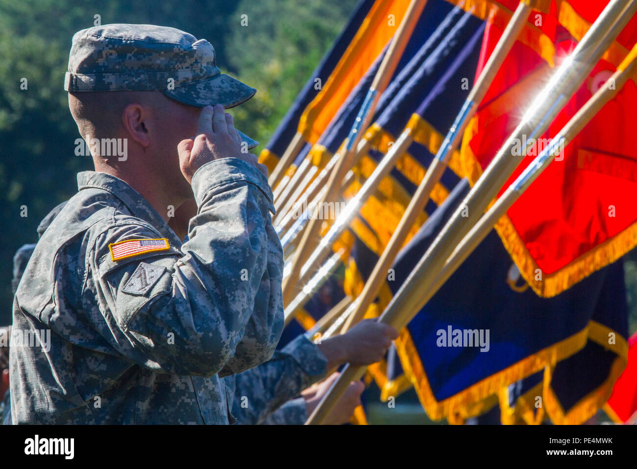 A U.S. Army Soldier salutes during rehearsals for a change of command ...