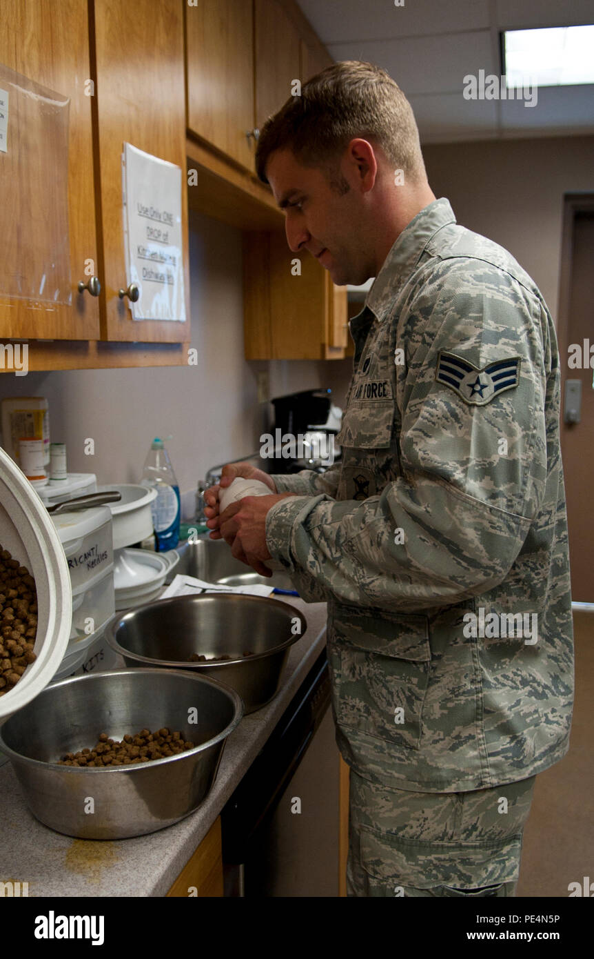 Austin k9 hi-res stock photography and images - Alamy