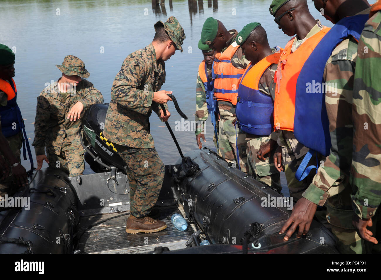 Senegalese rifleman hi-res stock photography and images - Alamy
