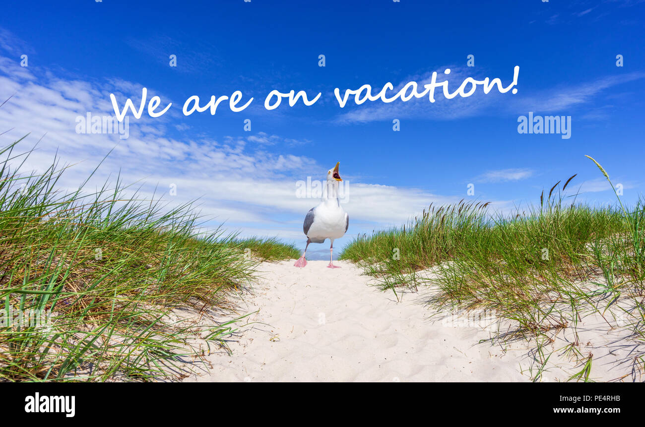 Beach at Baltic Sea in Germany Stock Photo - Alamy