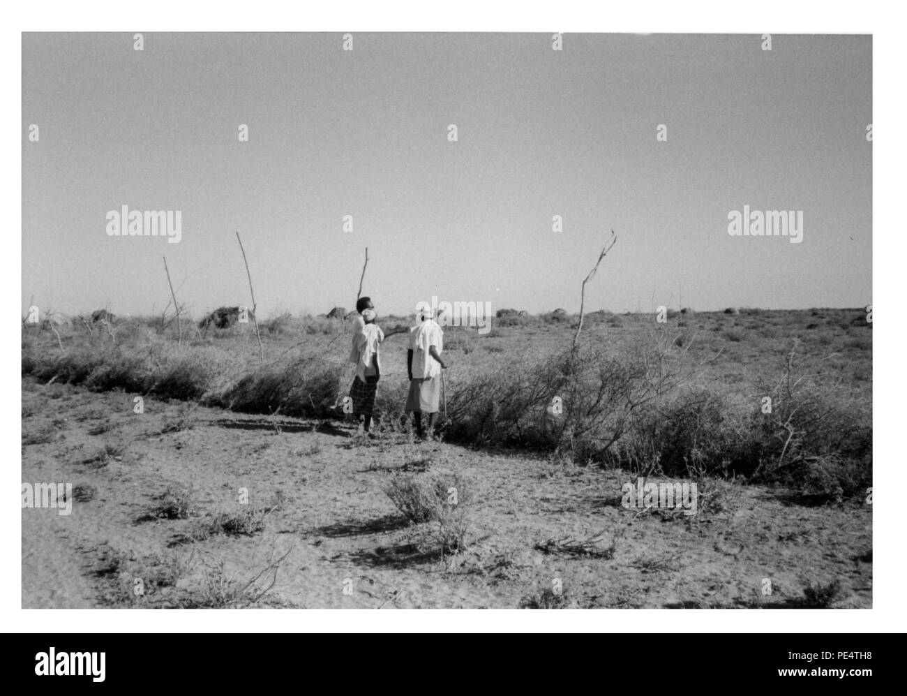 A village grazing reserve. Livestock are forced out and not allowed ...