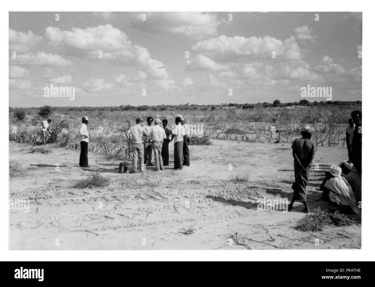 Planting to prevent desertification hi-res stock photography and images ...
