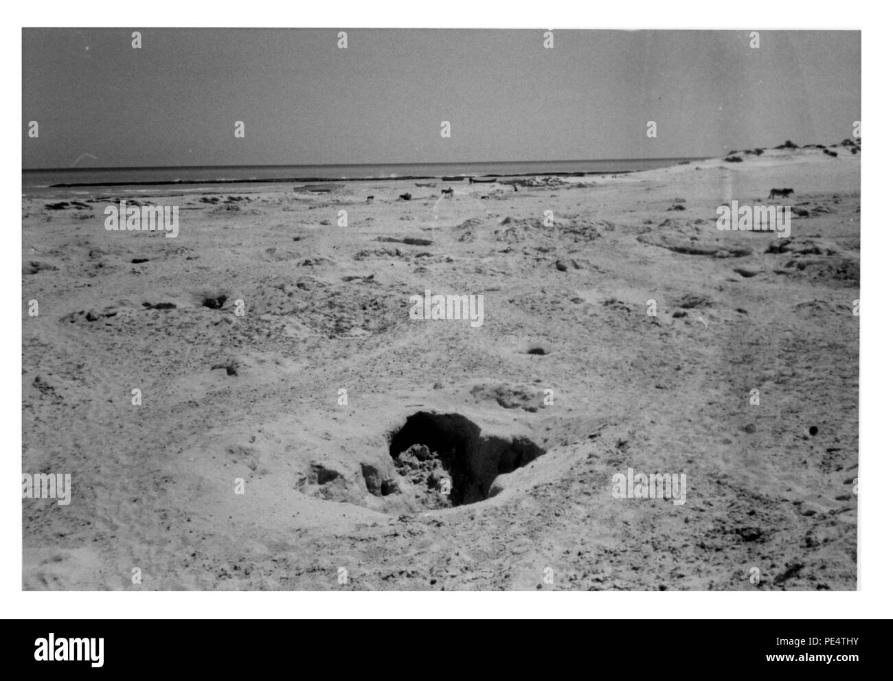 Graveyard water well Black and White Stock Photos & Images - Alamy