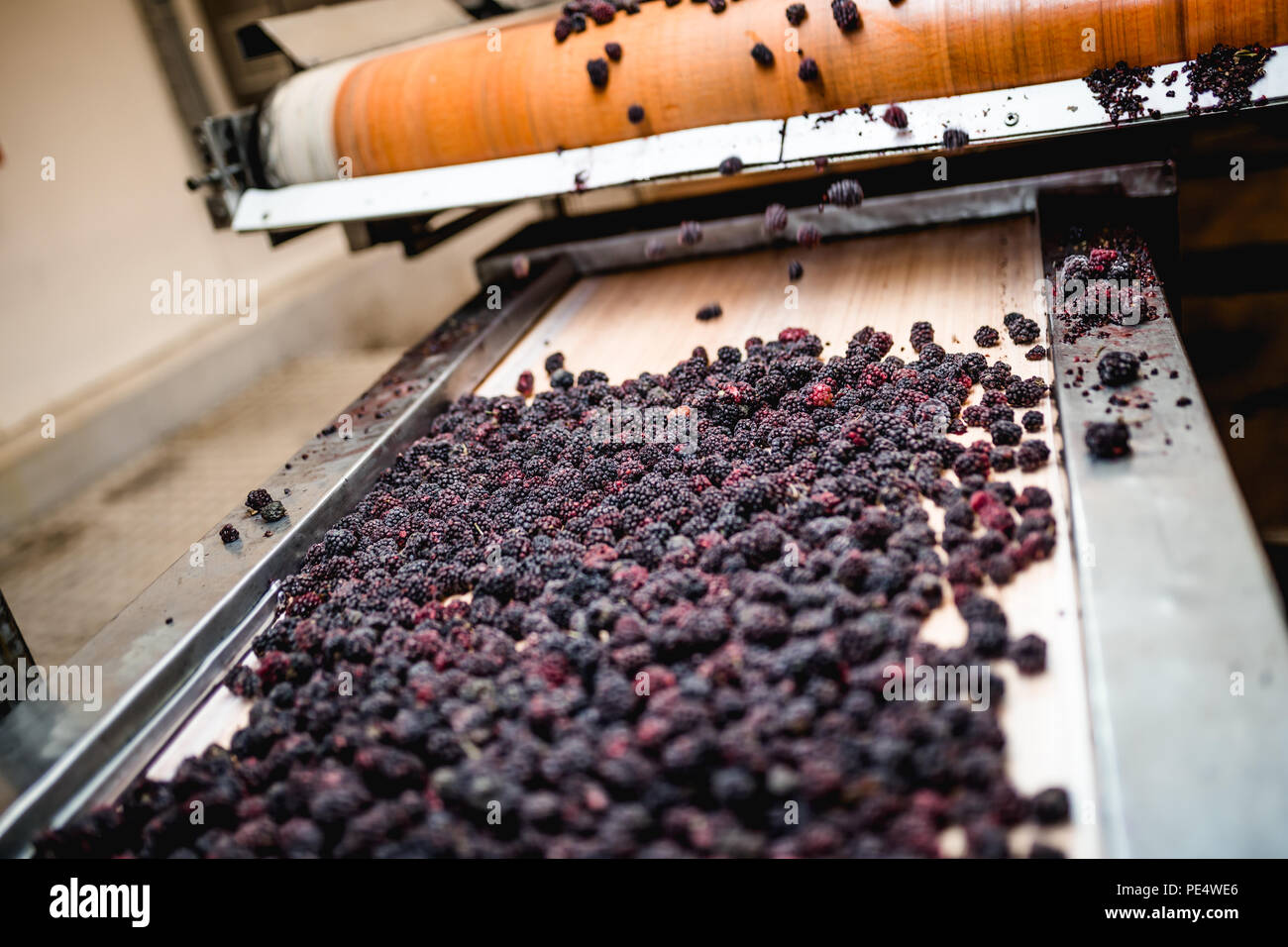 Frozen food industry packing line hi-res stock photography and images ...