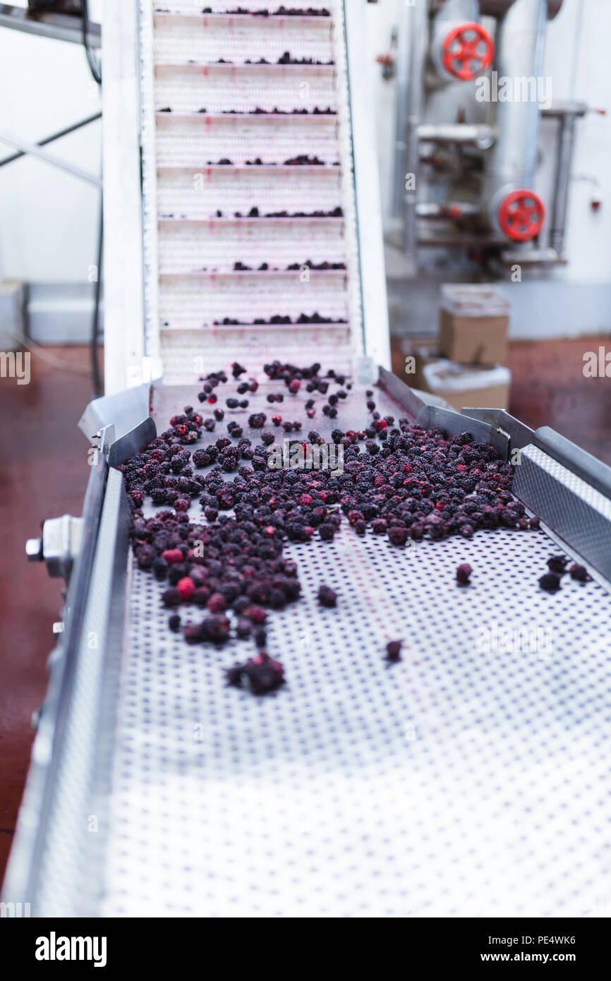 Frozen food industry packing line hi-res stock photography and images ...