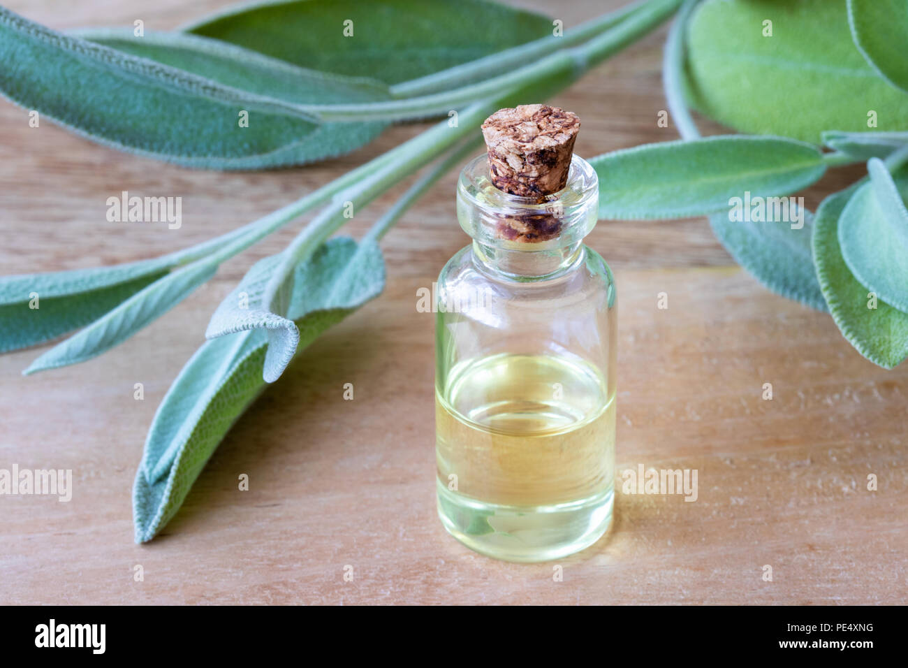 A bottle of essential oil with fresh sage twigs Stock Photo - Alamy