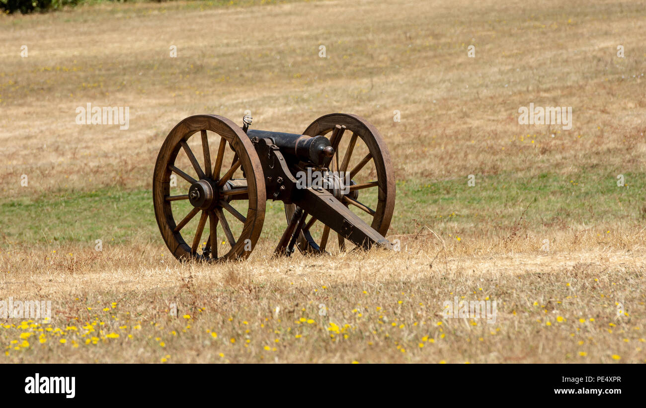 American Civil War small cannon on the grass, viewed from the back and ...