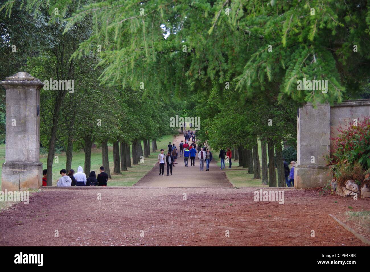 English Country Garden, Tree Lined Procession Path. Ashton Court ...