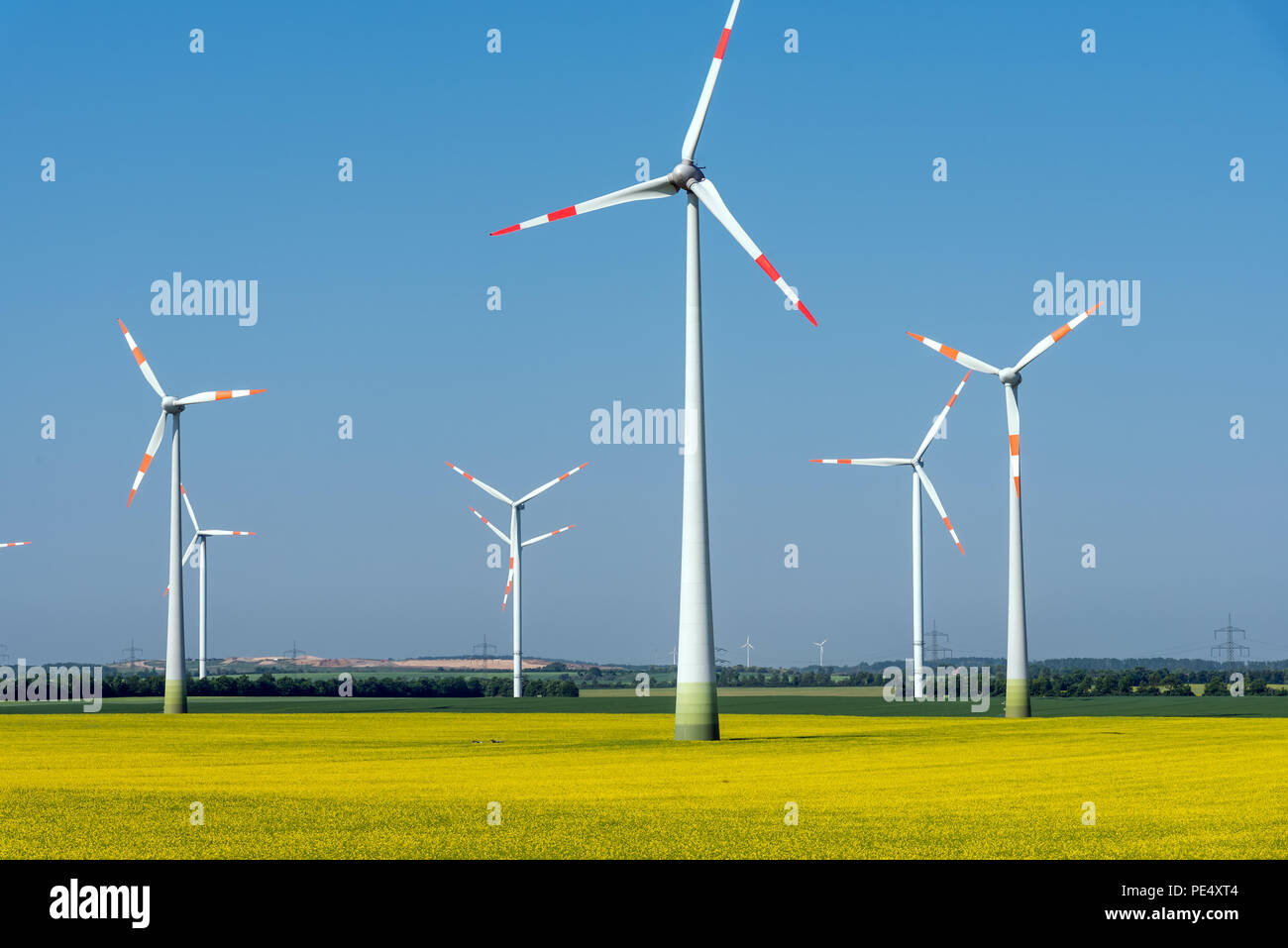 Modern wind wheels in a field of blooming rapeseed oil seen in Germany ...