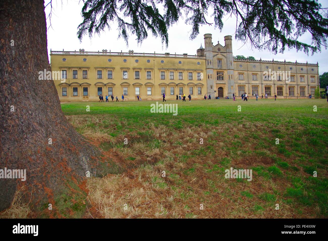 Ashton Court Mansion Framed by an Ornamental Cedar of Lebanon Tree ...