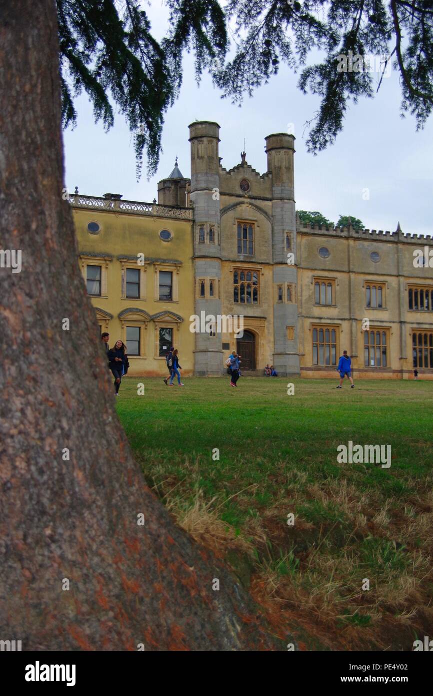 Ashton Court Mansion Framed by an Ornamental Cedar of Lebanon Tree ...