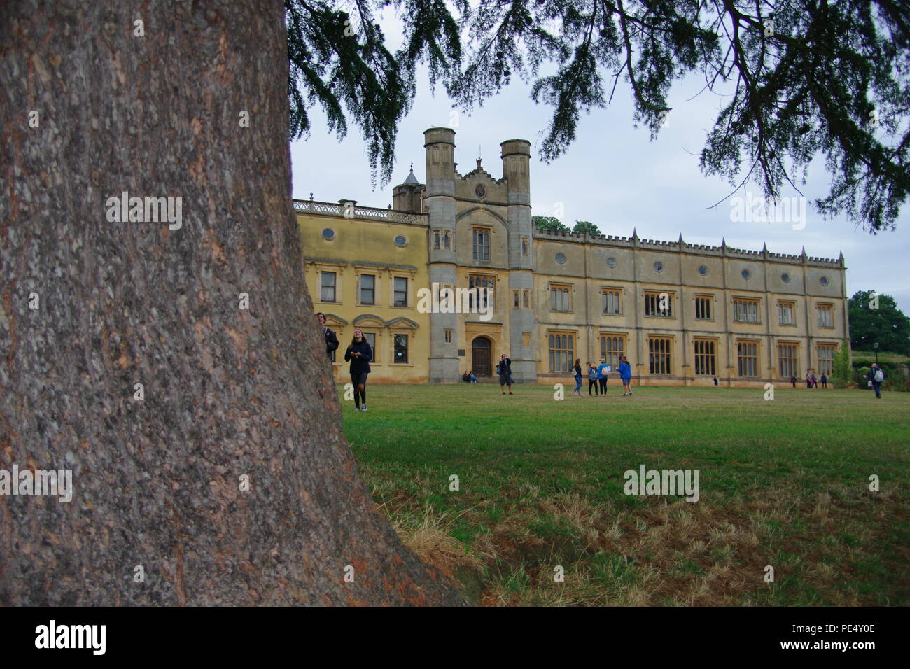 Ashton Court Mansion Framed by an Ornamental Cedar of Lebanon Tree ...