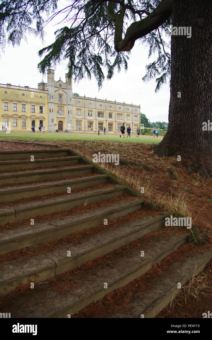 Ashton Court Mansion Framed by an Ornamental Cedar of Lebanon Tree ...