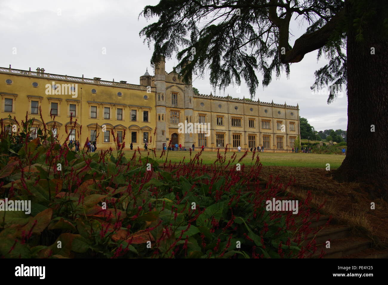 Ashton Court Mansion Framed by an Ornamental Cedar of Lebanon Tree ...