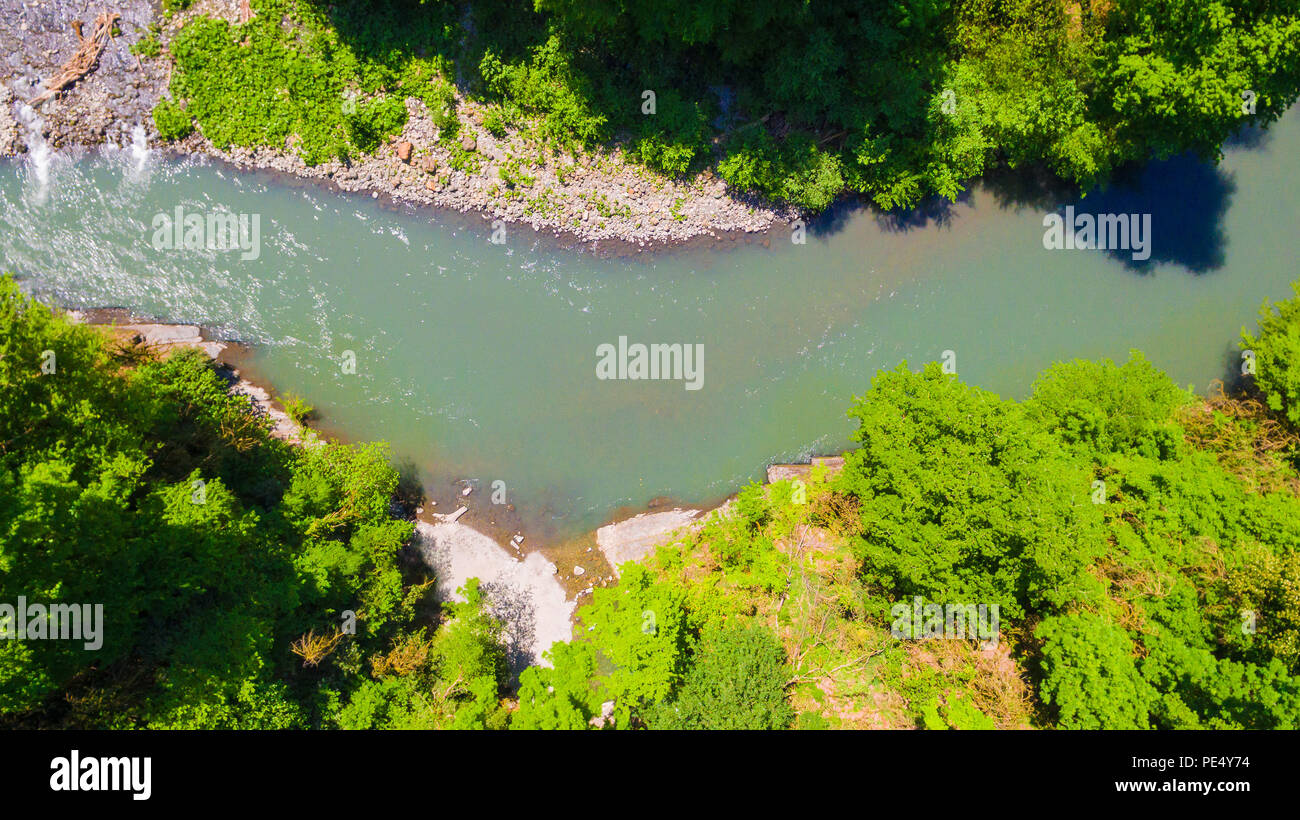 Top-down drone view of the Sochi river gorge with dense forest in sunny ...