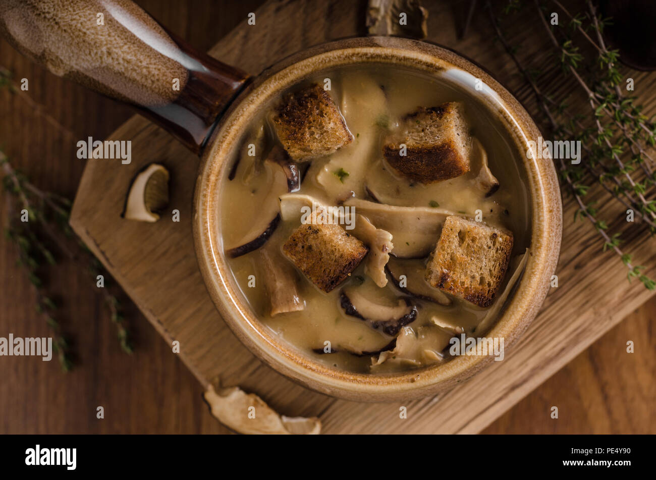 Rustic mushrooms soup, czech forest mushrooms, fresh collect in woods ...