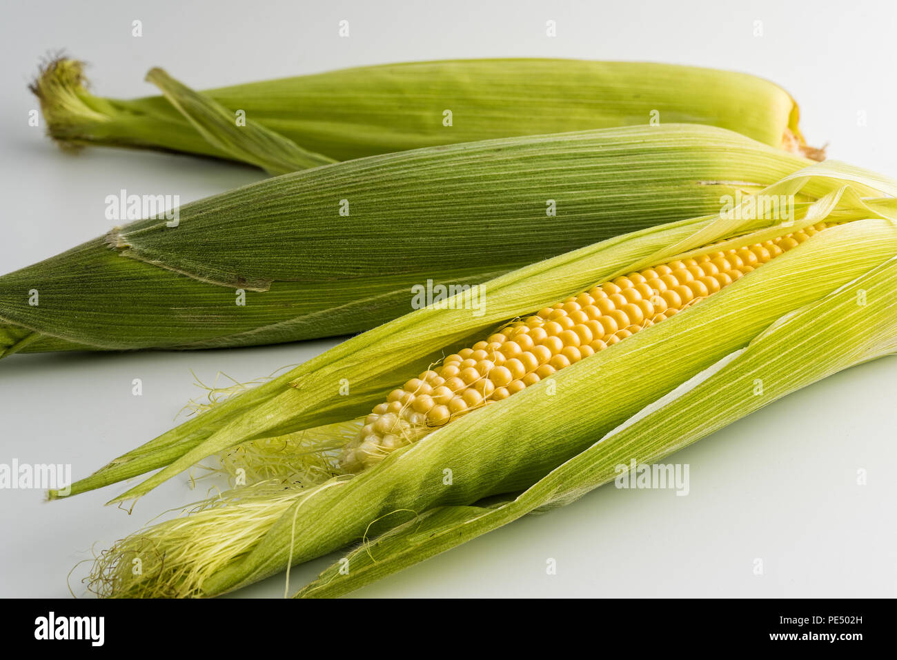 Fresh corn on the cob with leaves on white background Stock Photo - Alamy