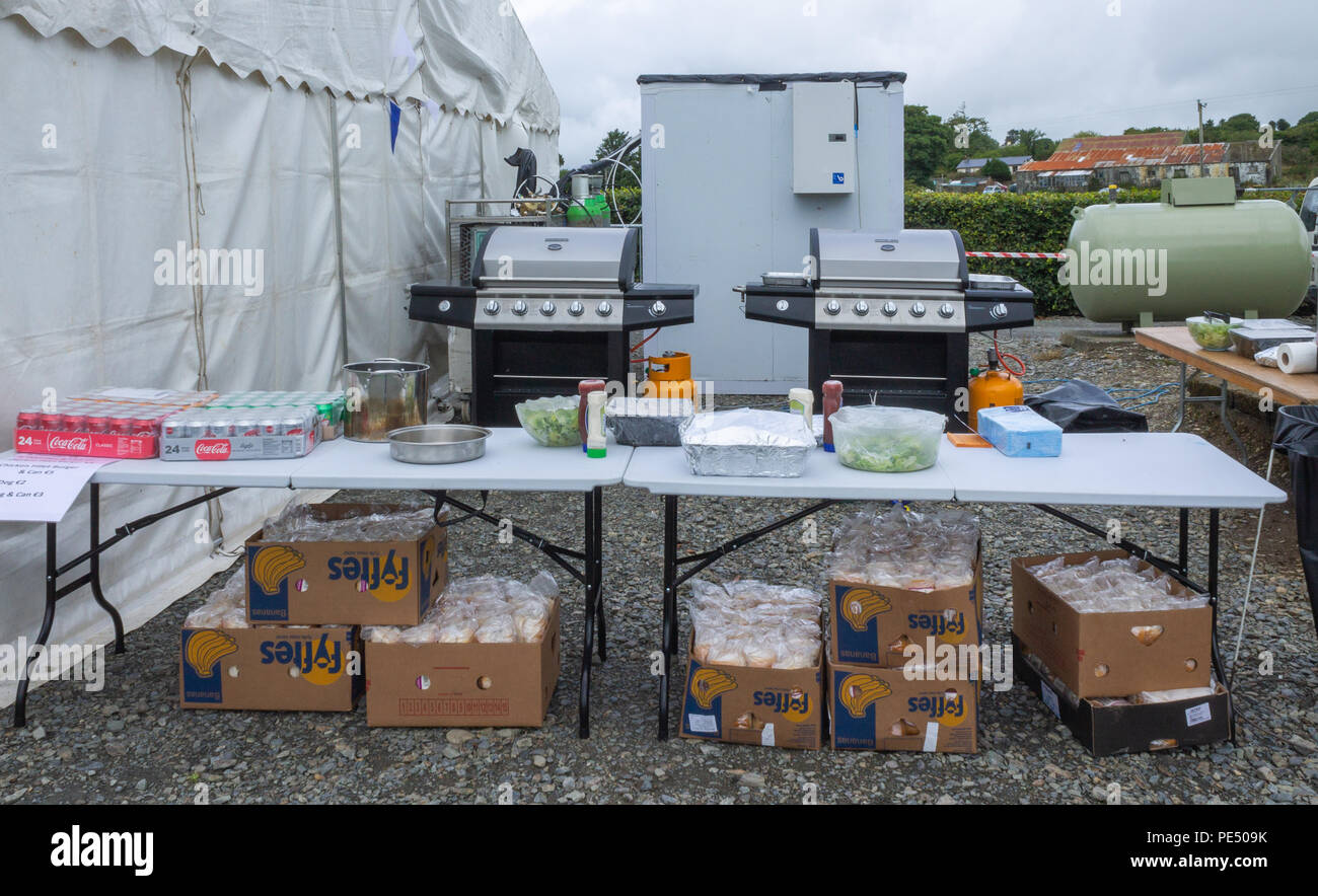 Gas bbq hi-res stock photography and images - Alamy