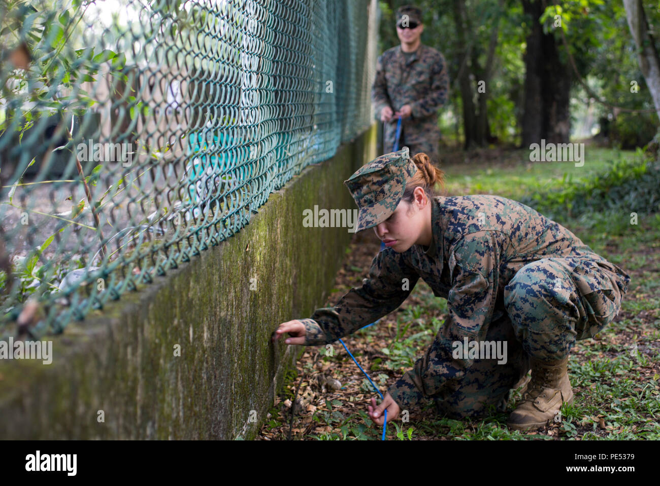 Wirem hi-res stock photography and images - Alamy