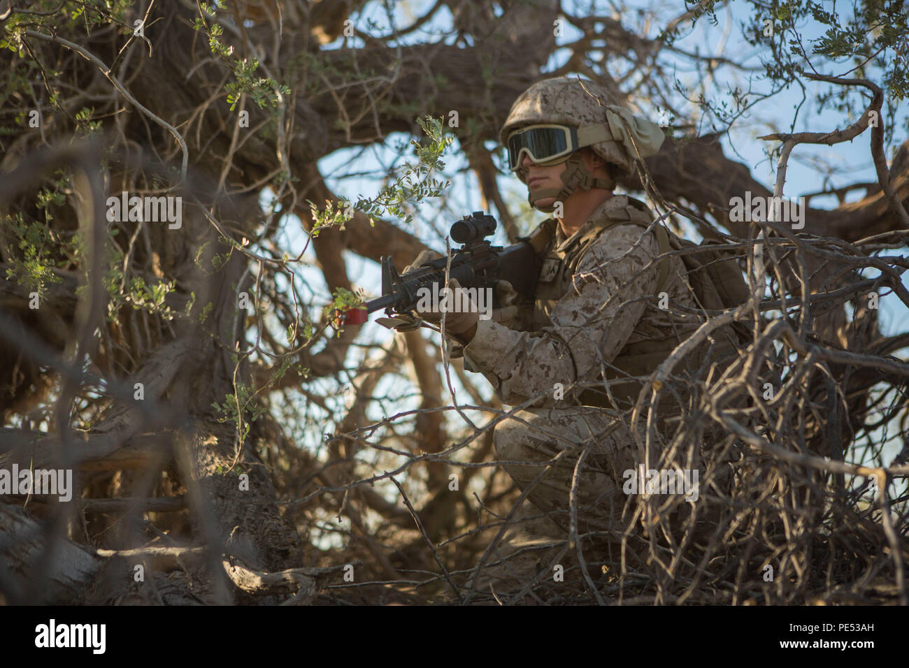 U.S. Marine Corps Pfc. Donovan Nicholas, with Marine Wing Support ...
