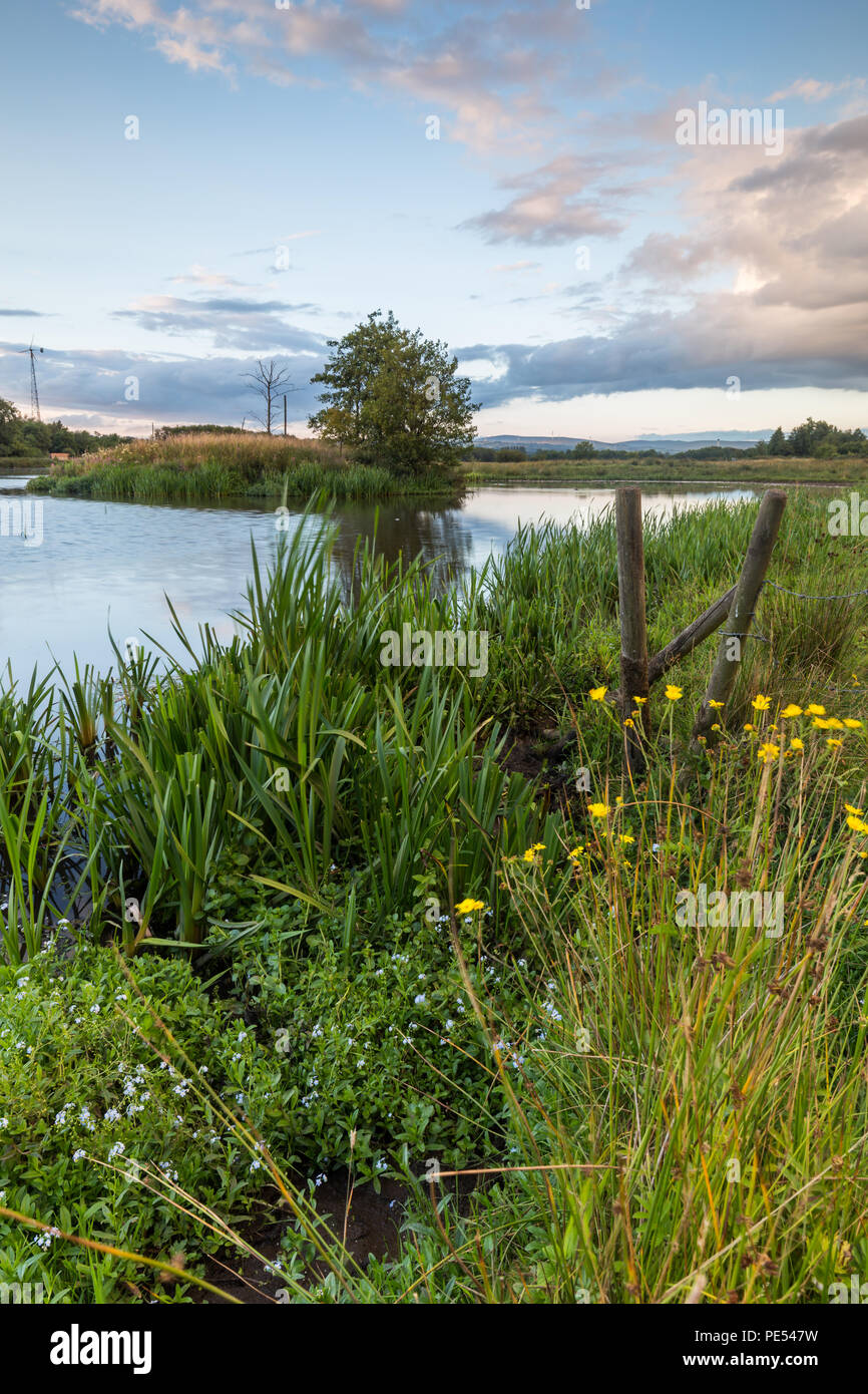 Wild flowers and fence posts adjacent to lake at the Ecos nature park ...