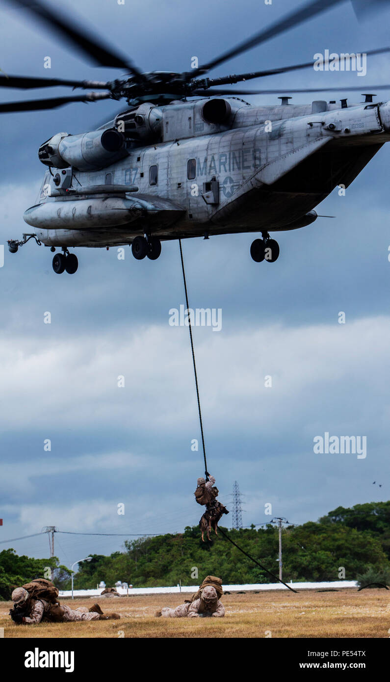Cpl. Conner Scott fast-ropes out of a CH-53E Super Stallion helicopter ...