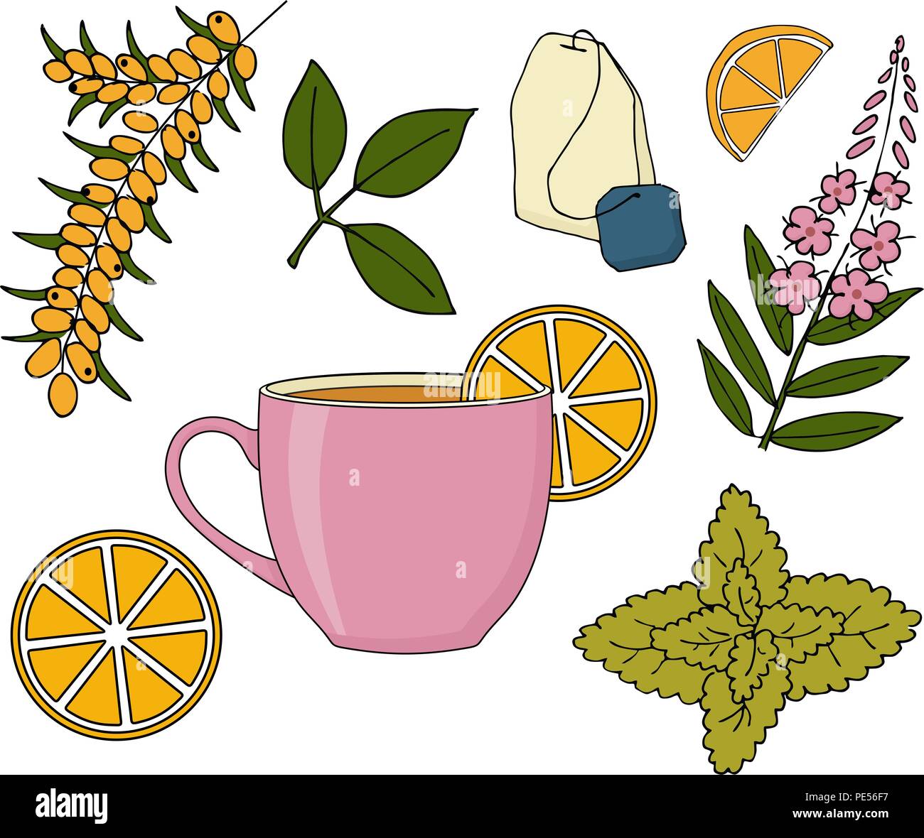 Set hot mint tea Cut Out Stock Images & Pictures - Alamy